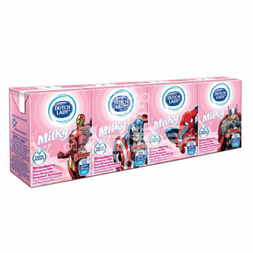 DUTCH LADY FROZEN CHOCOLATE MILK UHT (4x125ML) - Frozen Food Delivery ...